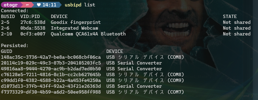 【メモ】WSL2でUSB・USBカメラ📸 を使えるようにする環境構築 #環境構築 - Qiita